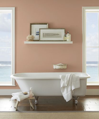 Experts are calling the Behr Color of the Year the next Millennial Pink ...