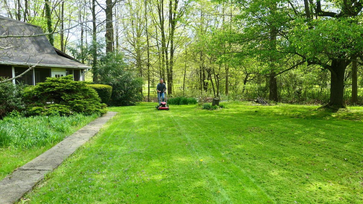 Turf experts reveal how to fix an overgrown lawn in 4 steps | Homes and ...