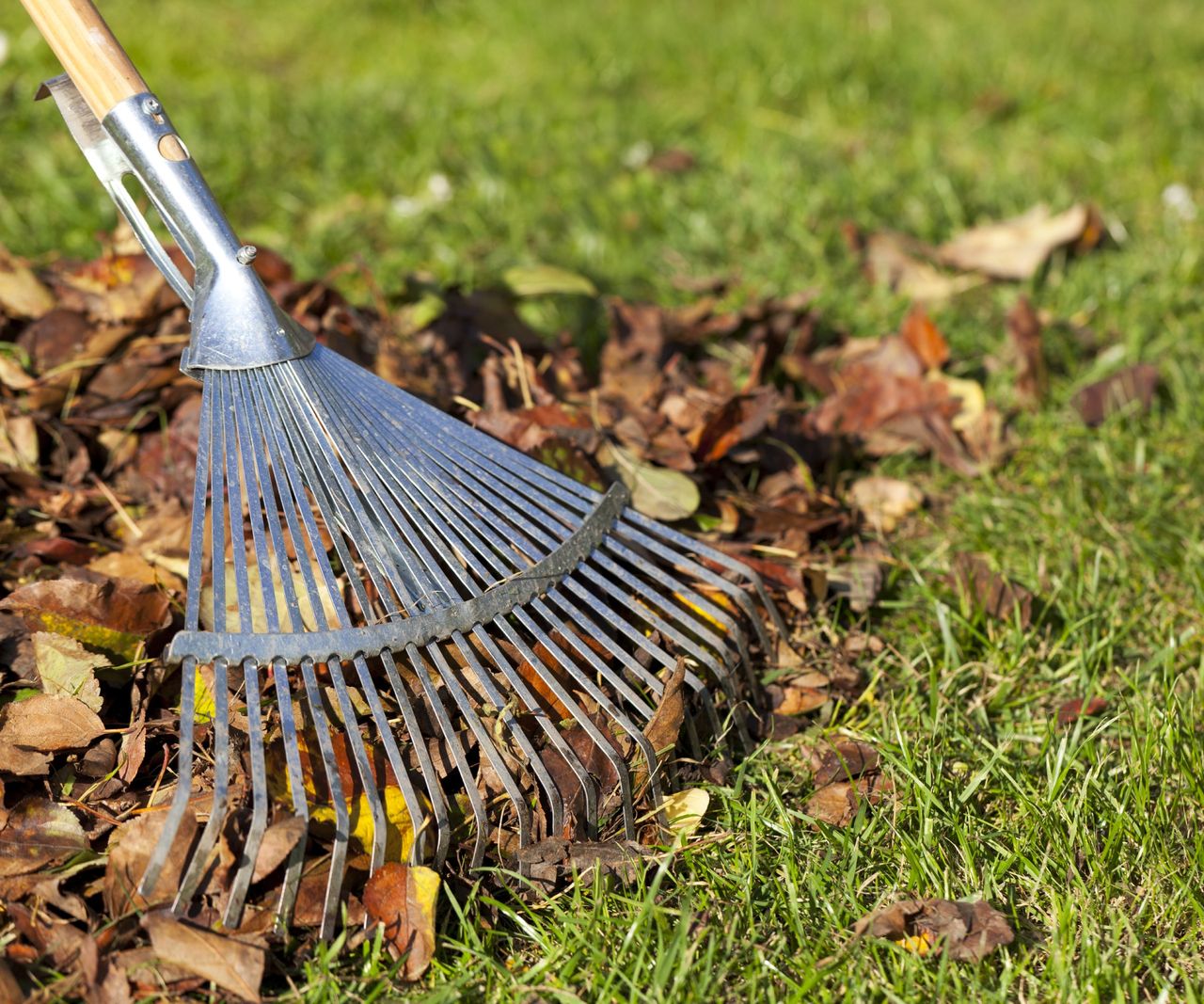 Gardening Tools Every Home Grower Needs – Our Top 10 Picks | Gardening ...