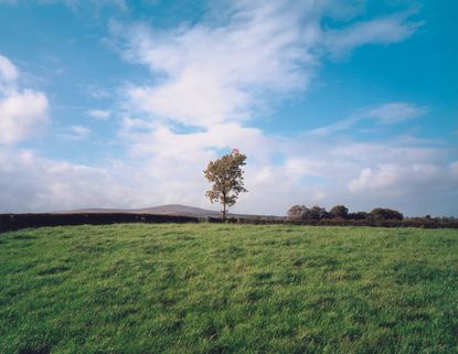 'The 80s: Photographing Britain' offers a snapshot of Thatcher's ...