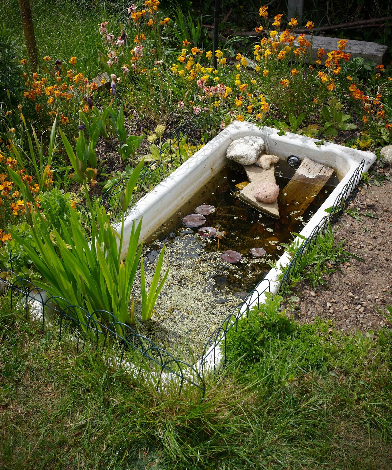 Homemade water feature ideas you can DIY: 10 easy projects to try ...