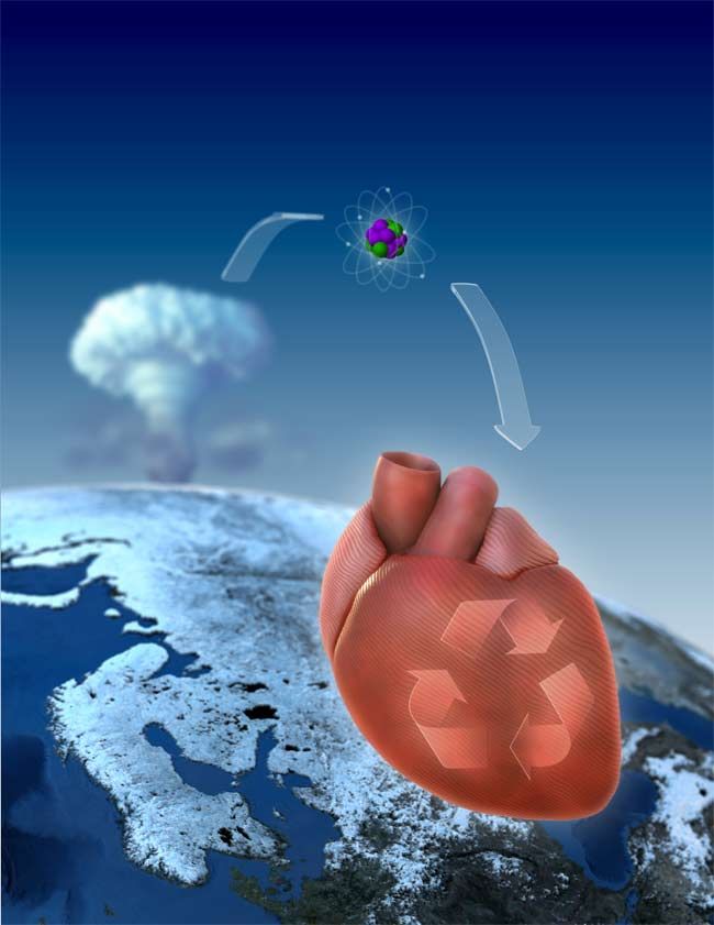 Surprise! Adult Hearts Grow New Cells | Live Science