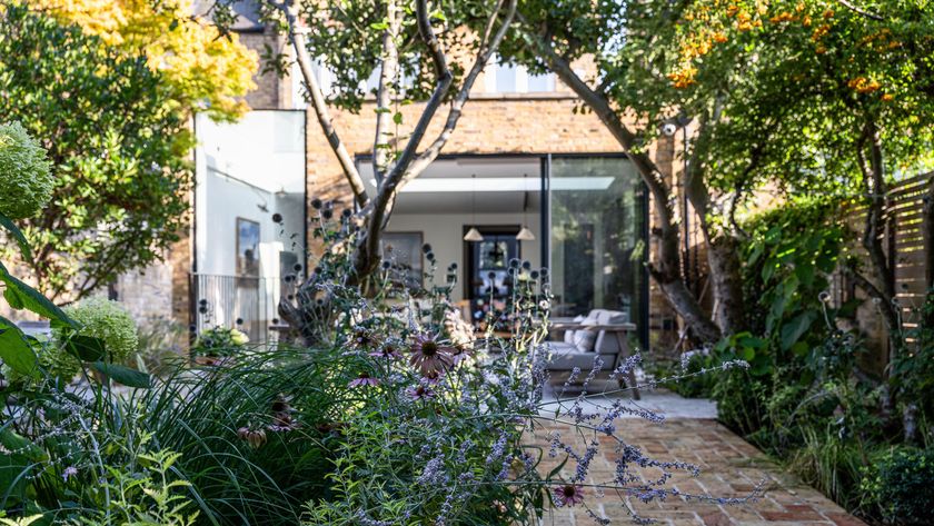 How to spot wet rot — plus how to treat it | Homebuilding