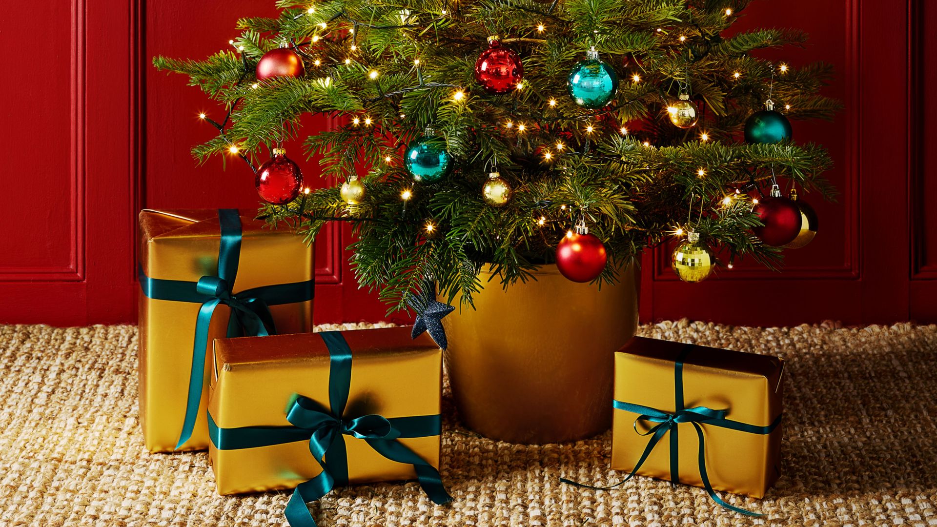Lidl real Christmas trees are back and start from £16.99 | Ideal Home