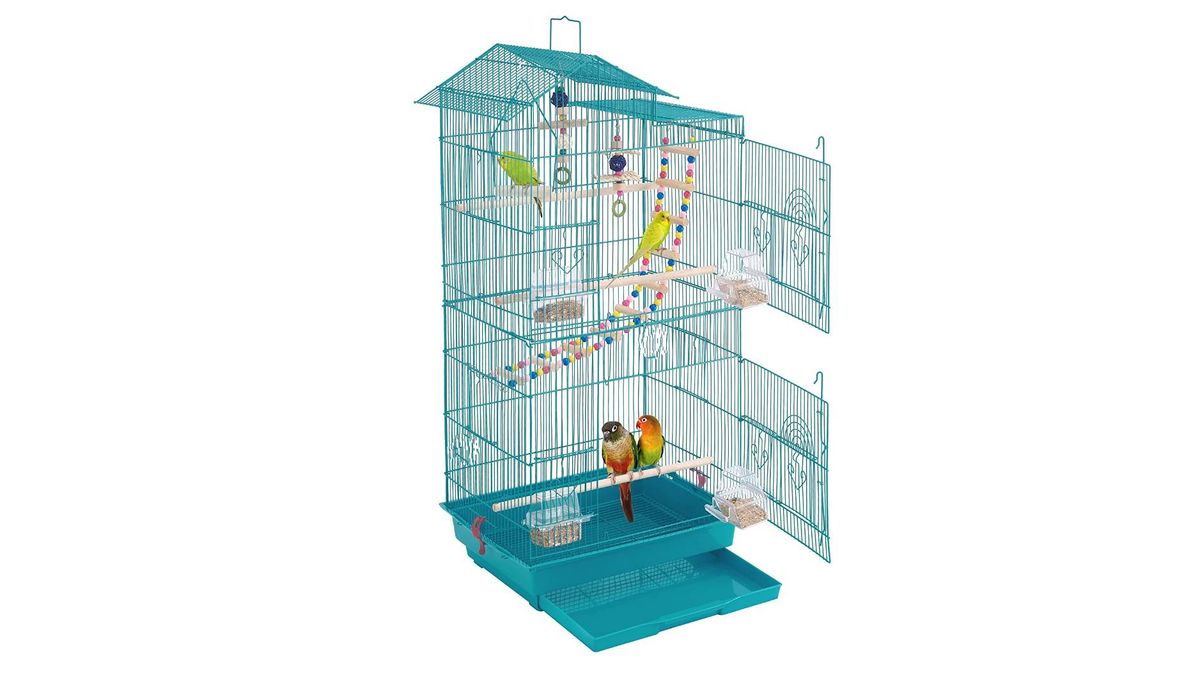 Best parrot cage: Get a first-rate home for your bird | PetsRadar