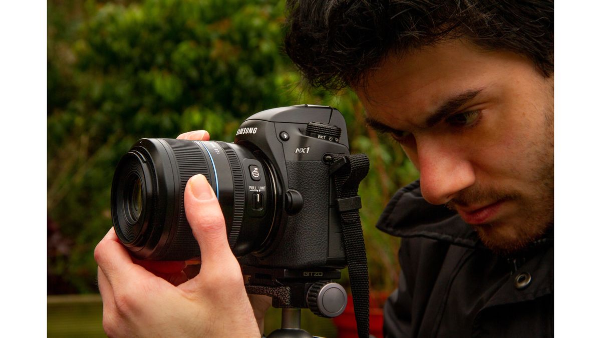 Create amazing macro panoramas with your camera | Digital Camera World