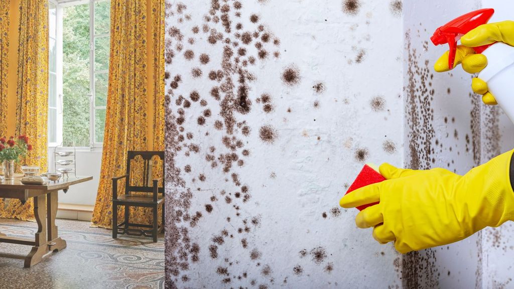 How to get rid of mildew: 6 pro tips to prevent its return | Homes and ...