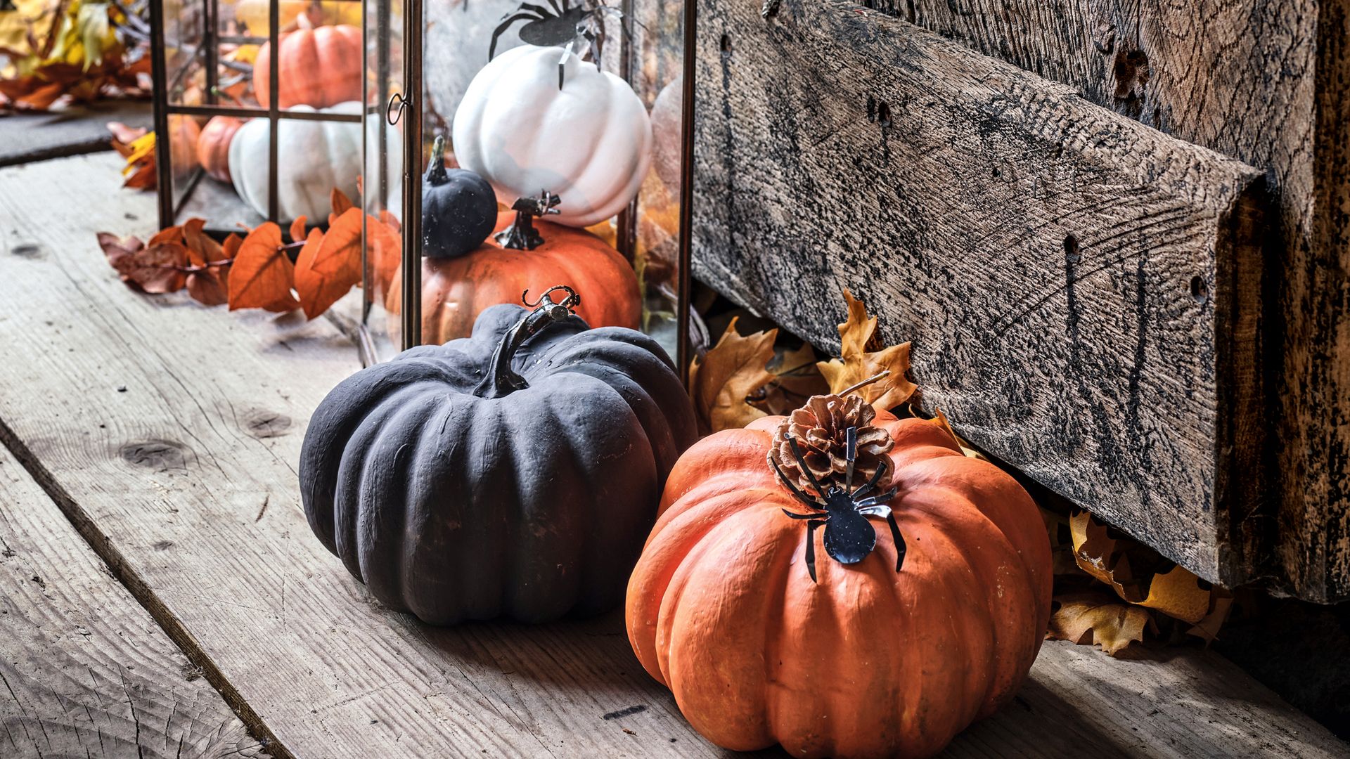 How to make sock pumpkins - the viral trend taking over TikTok | Ideal Home