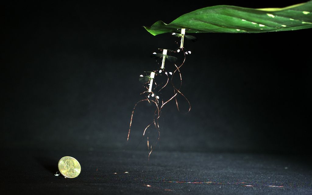 Flying Insect-Inspired Robot Can 'Rest' Midflight | Live Science
