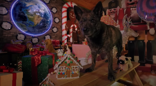 The best Christmas movies with dogs | What to Watch