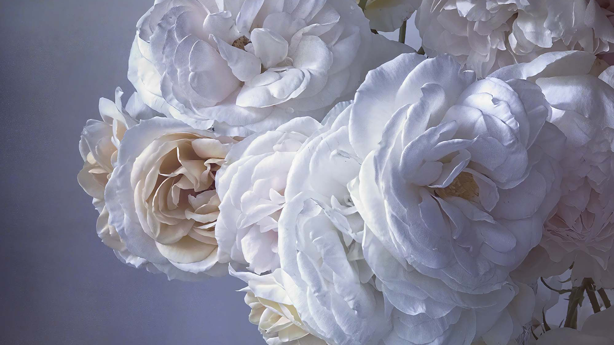 Interview: photographer Nick Knight | The Week