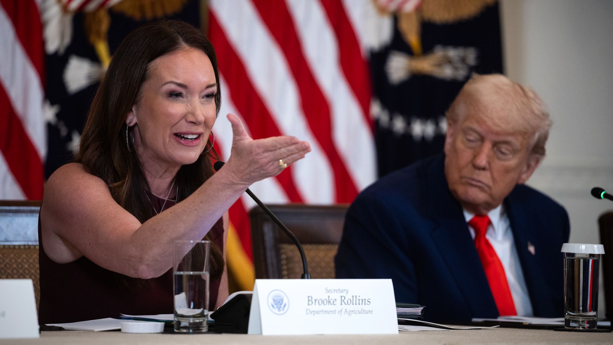 Trump tells ICE to hit blue cities, spare farms, hotels | The Week