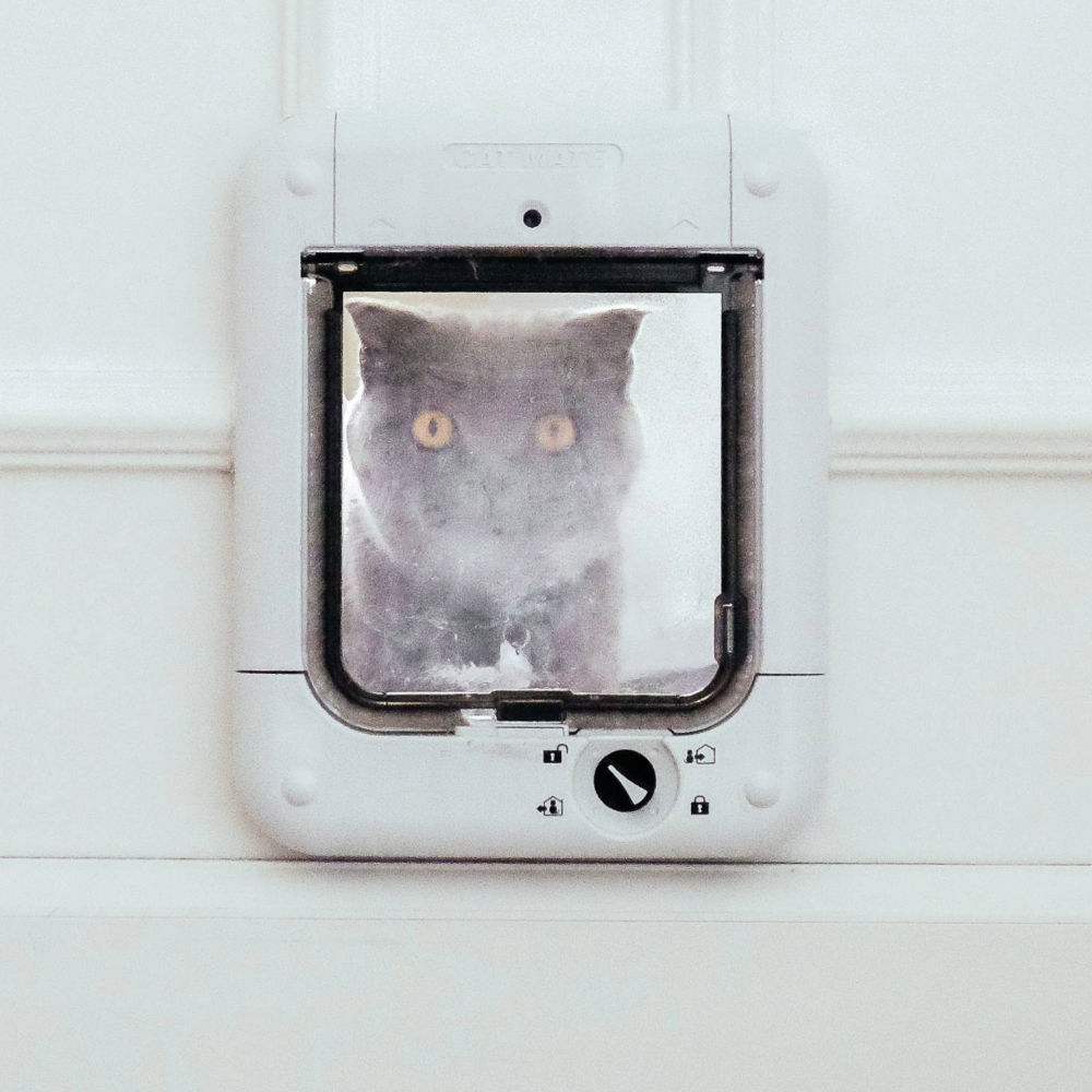 The 5 best microchip cat flaps, tested and approved by real pet parents ...