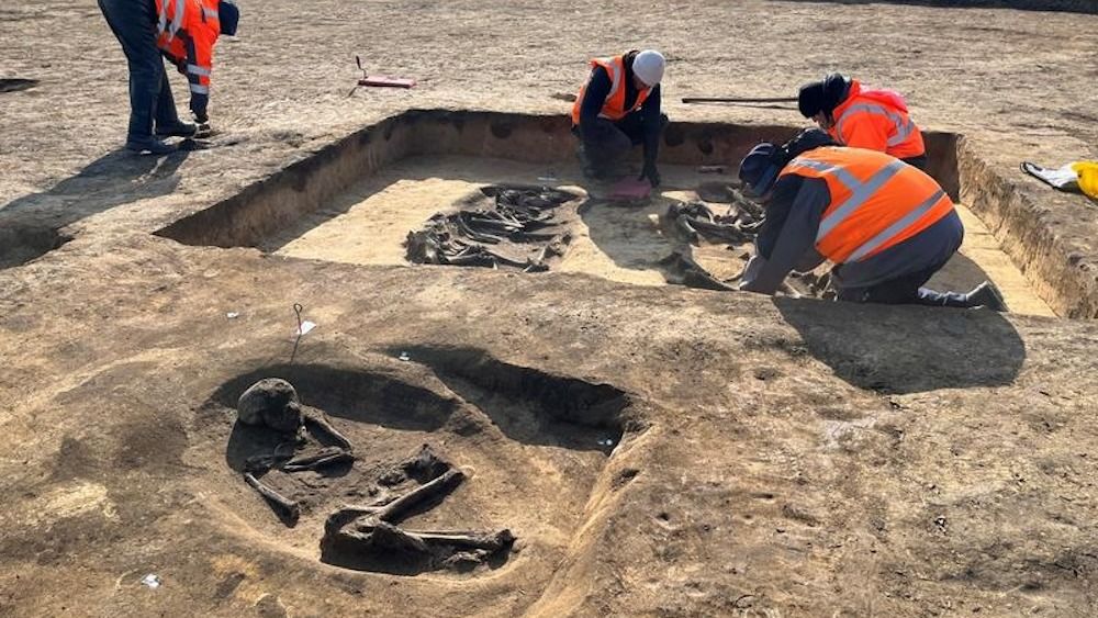 'Astonishing' Neolithic burial containing a human, cattle and chariot ...