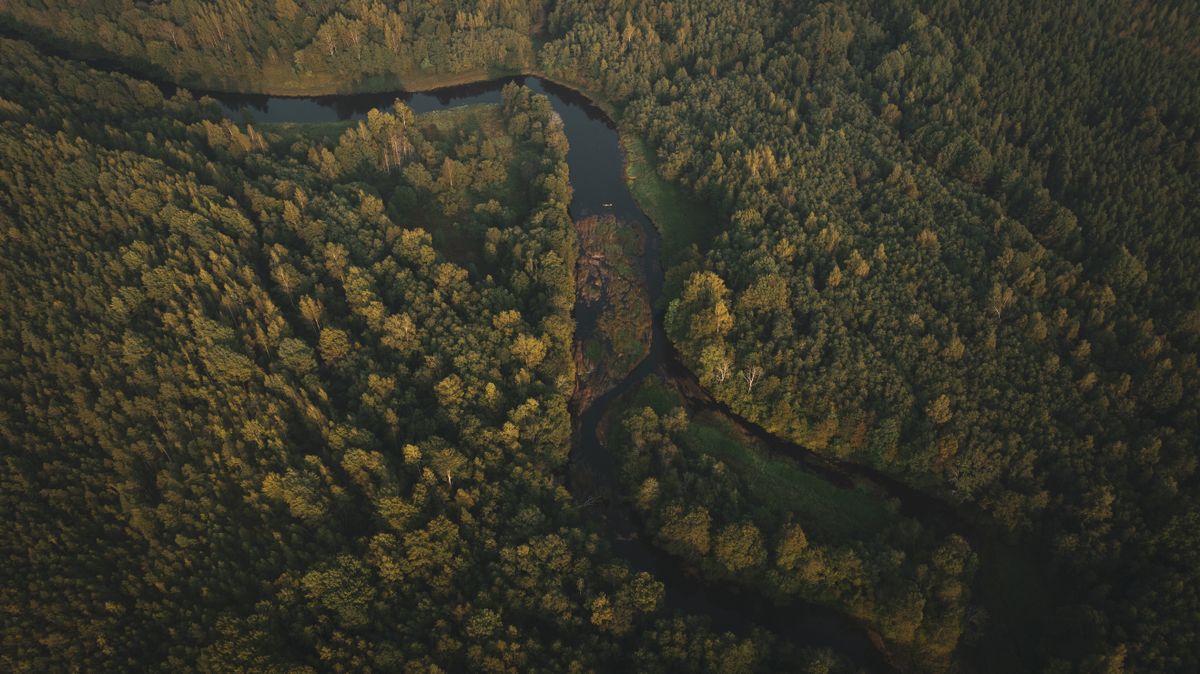 What is Columbia's Insect Shield technology? And does it really work against biting bugs on the ...