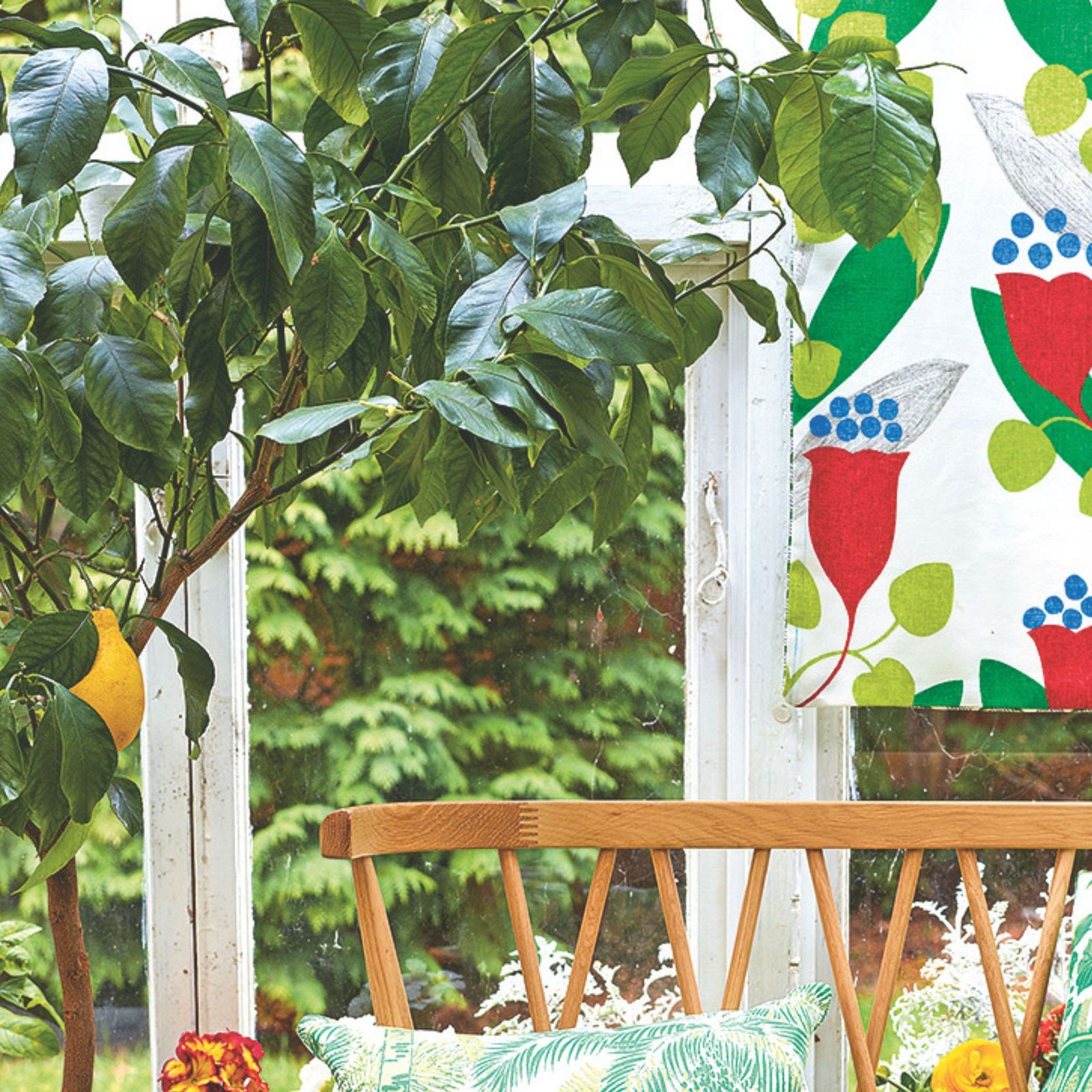 What are rootstocks? The key to a thriving fruit tree | Ideal Home