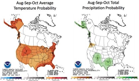 The Weather Forecast for August, September and October? Hot! | Live Science