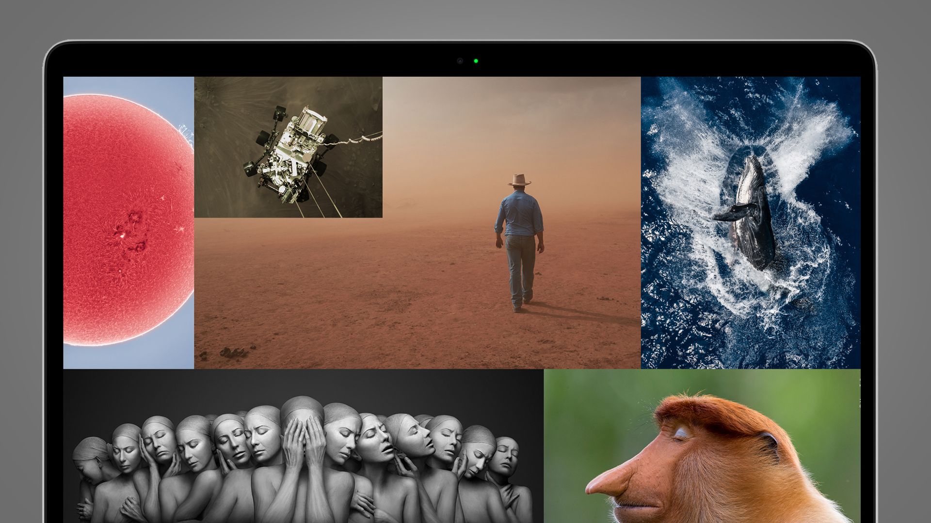 The best photos of 2021 (and how to take them) | TechRadar