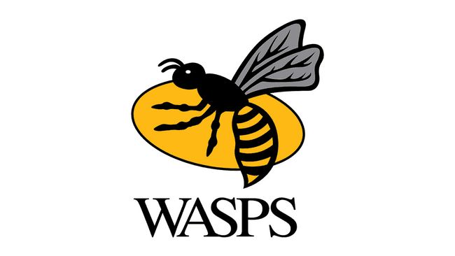 New Wasps rugby logo gets a stinging response from fans | Creative Bloq