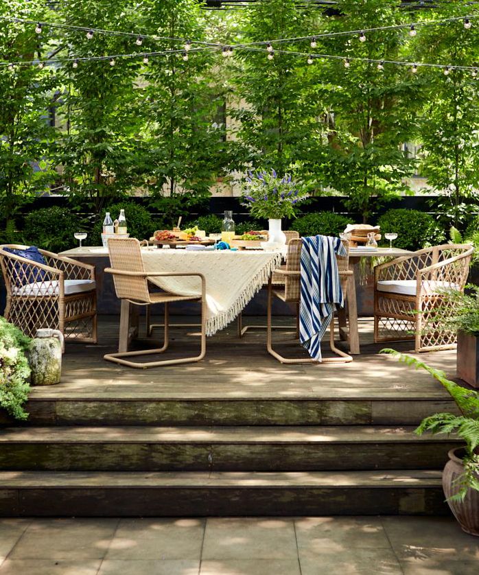 James DeSantis reveals the one plant we all need in our gardens ...