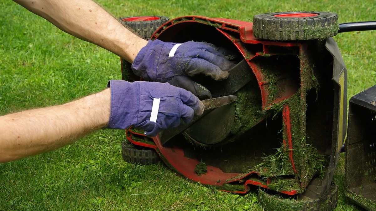 First lawn cut of the year — the experts explain when and how to do it ...