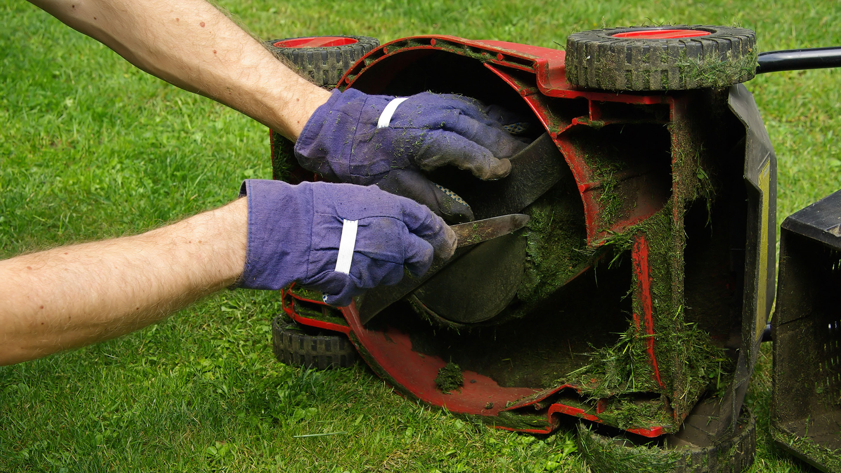 First lawn cut of the year — the experts explain when and how to do it ...