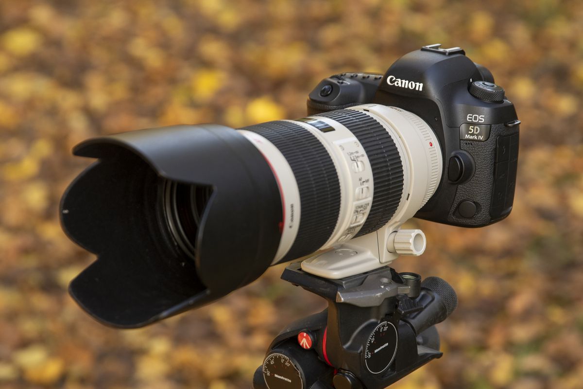 My old Canon DSLR and even older zoom lens are still awesome for fall ...