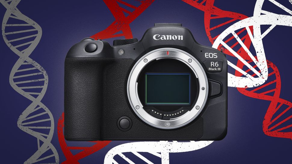 7 things I hope to see from Canon in 2025 | Digital Camera World