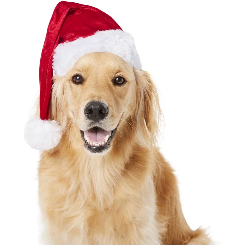 Best Christmas gifts for dogs 2025 chosen by dog owners | PetsRadar