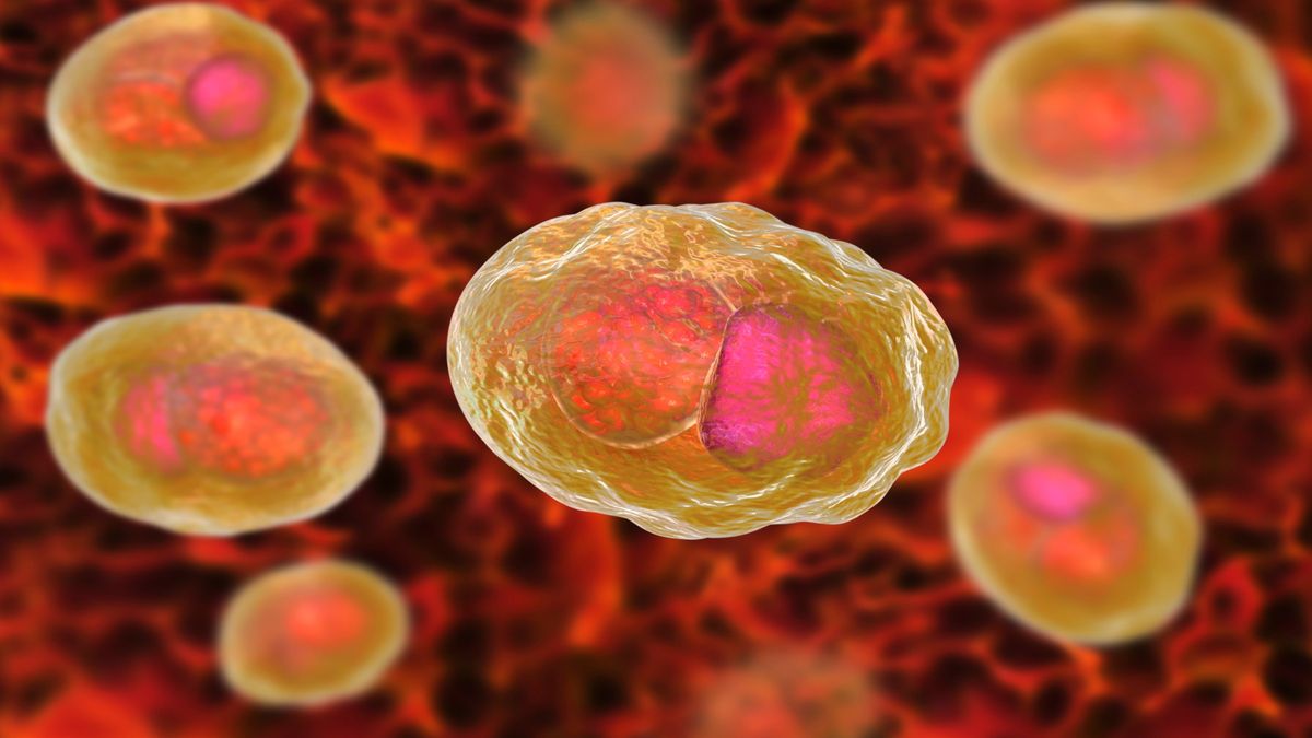 Could An Antibiotic Taken After Unprotected Sex Prevent Stis What To