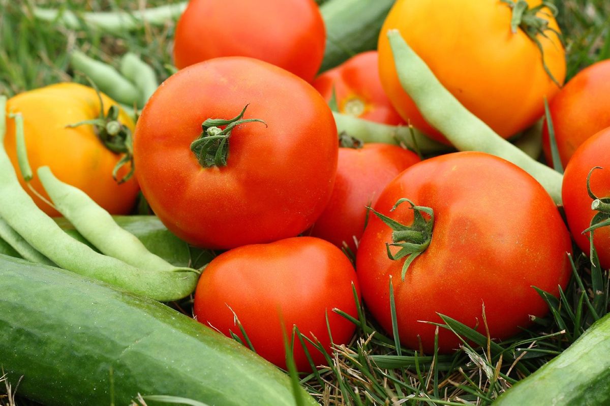 Southern Vegetable Gardening - Learn About Heat Loving Vegetables ...