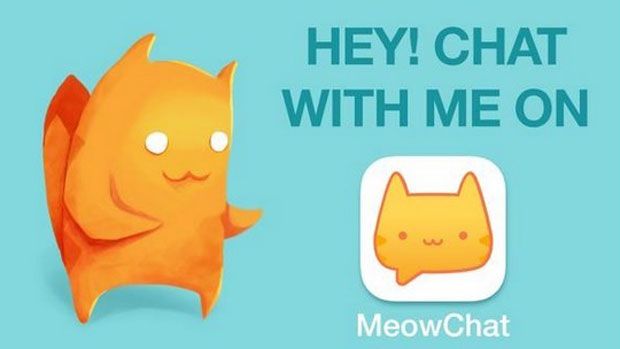 Meow Chat: what is it and how do I block the endless invites?| News ...