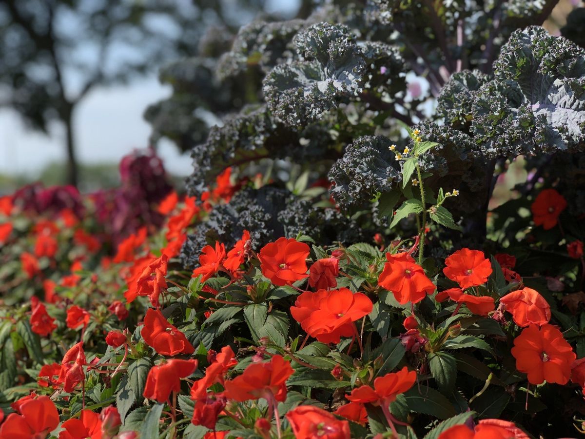 How to use Portrait mode and Portrait Lighting on iPhone | iMore