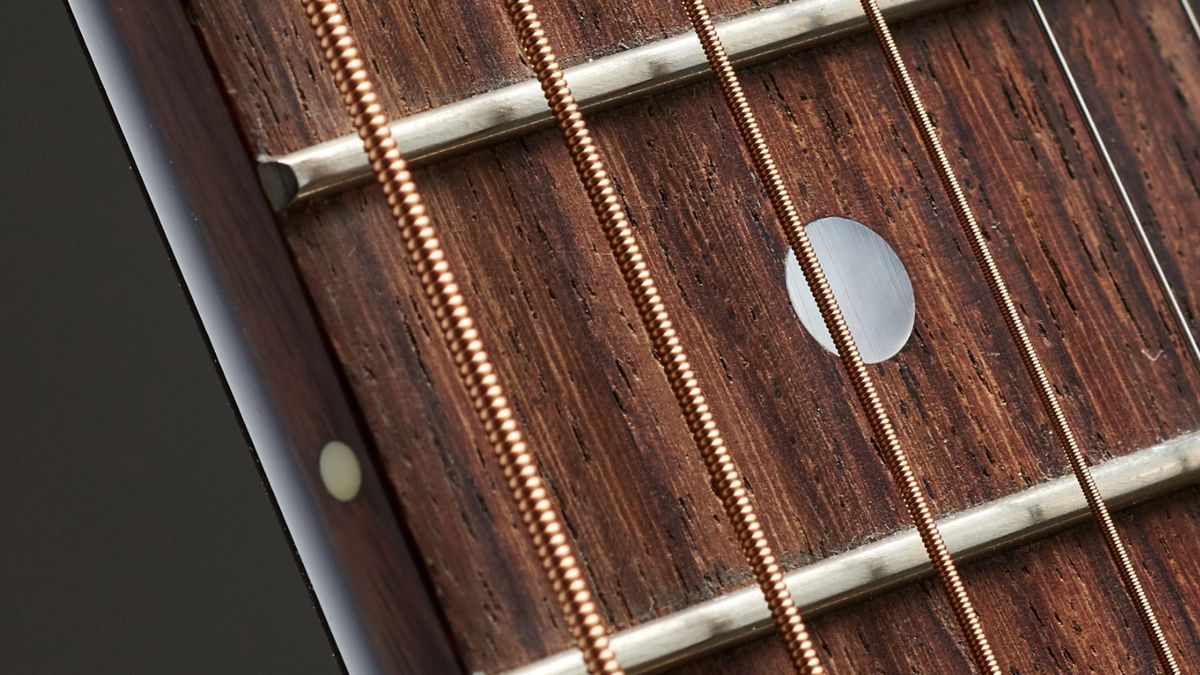 A Rough Guide to Guitar Fingerboard Materials | GuitarPlayer