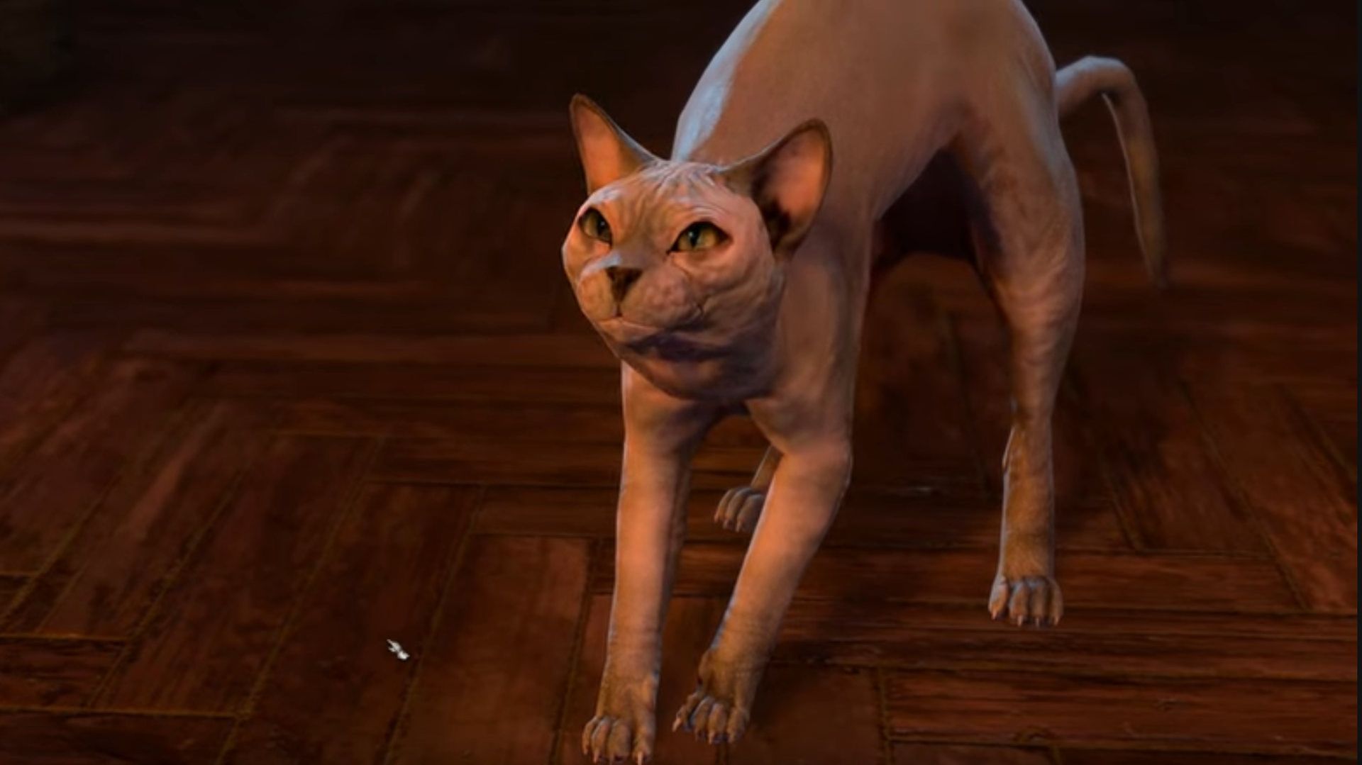 Baldur's Gate 3 NPC one-ups the odd Skyrim guards: "My cat killed a rat ...