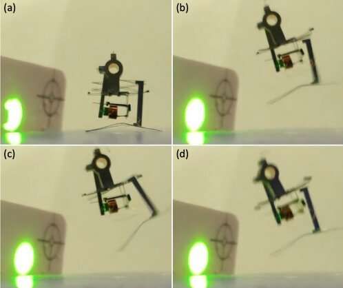 Jumping, Flapping Microrobots Could Swarm Far-Off Worlds | Space