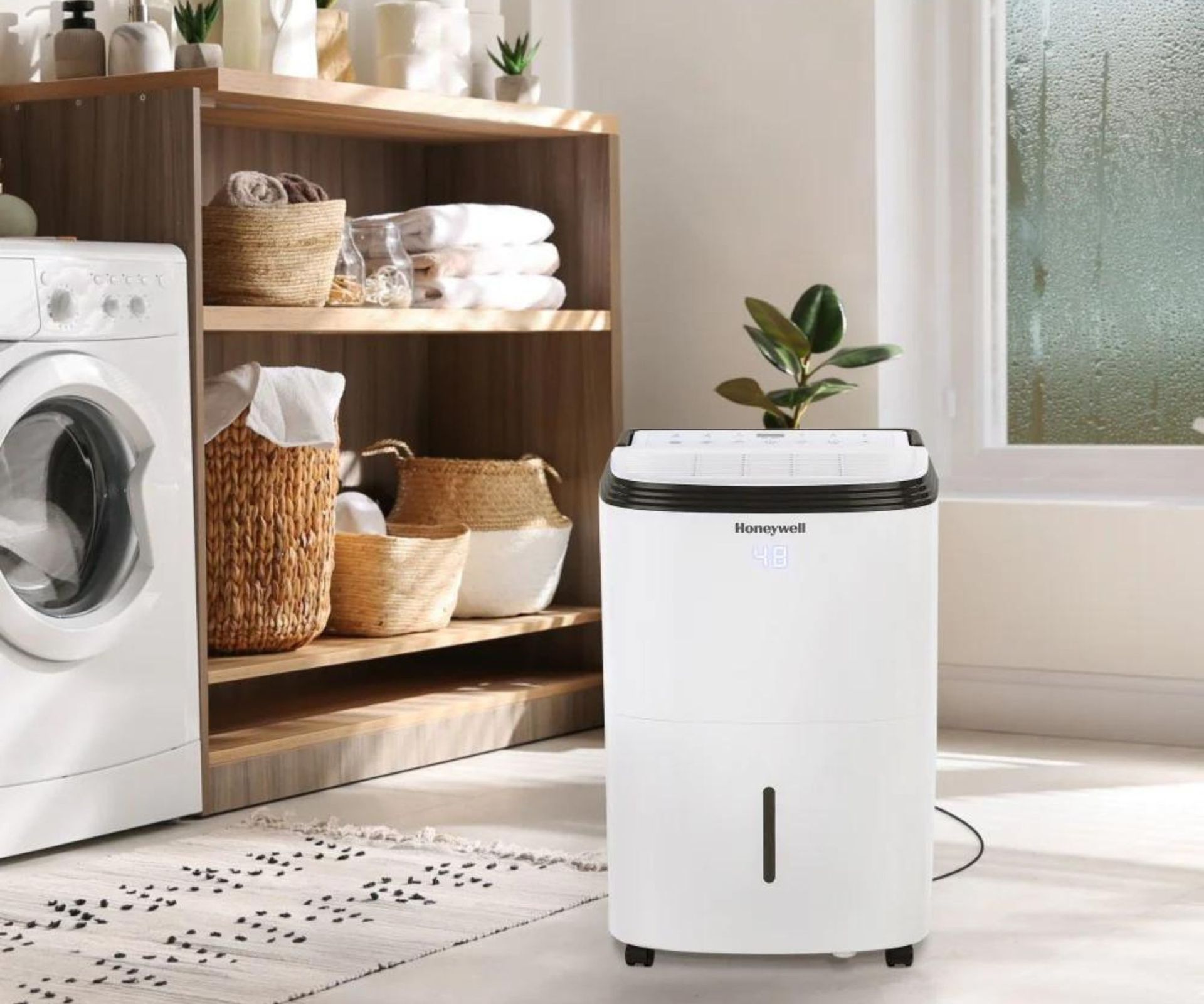 Do You Need A Dehumidifier In The Winter