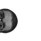 Exclusive: The complete Windows Phone emoji list | Windows Central