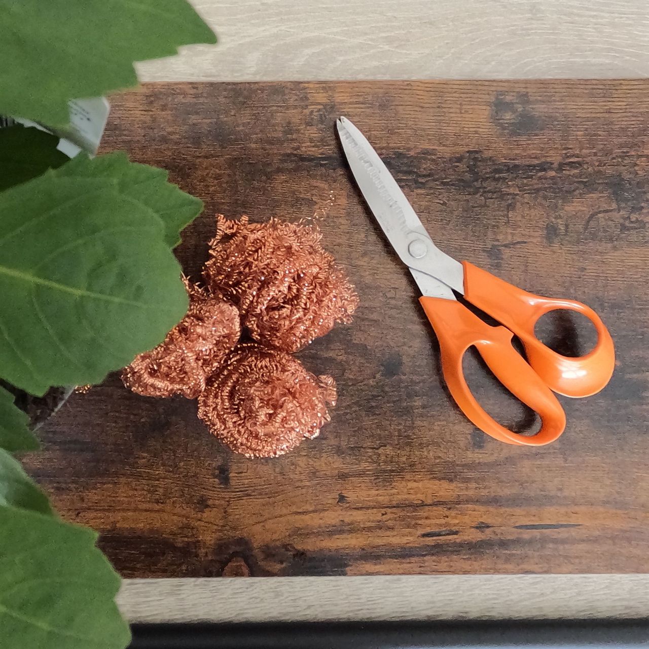 I tested the viral copper scourer slug hack | Ideal Home