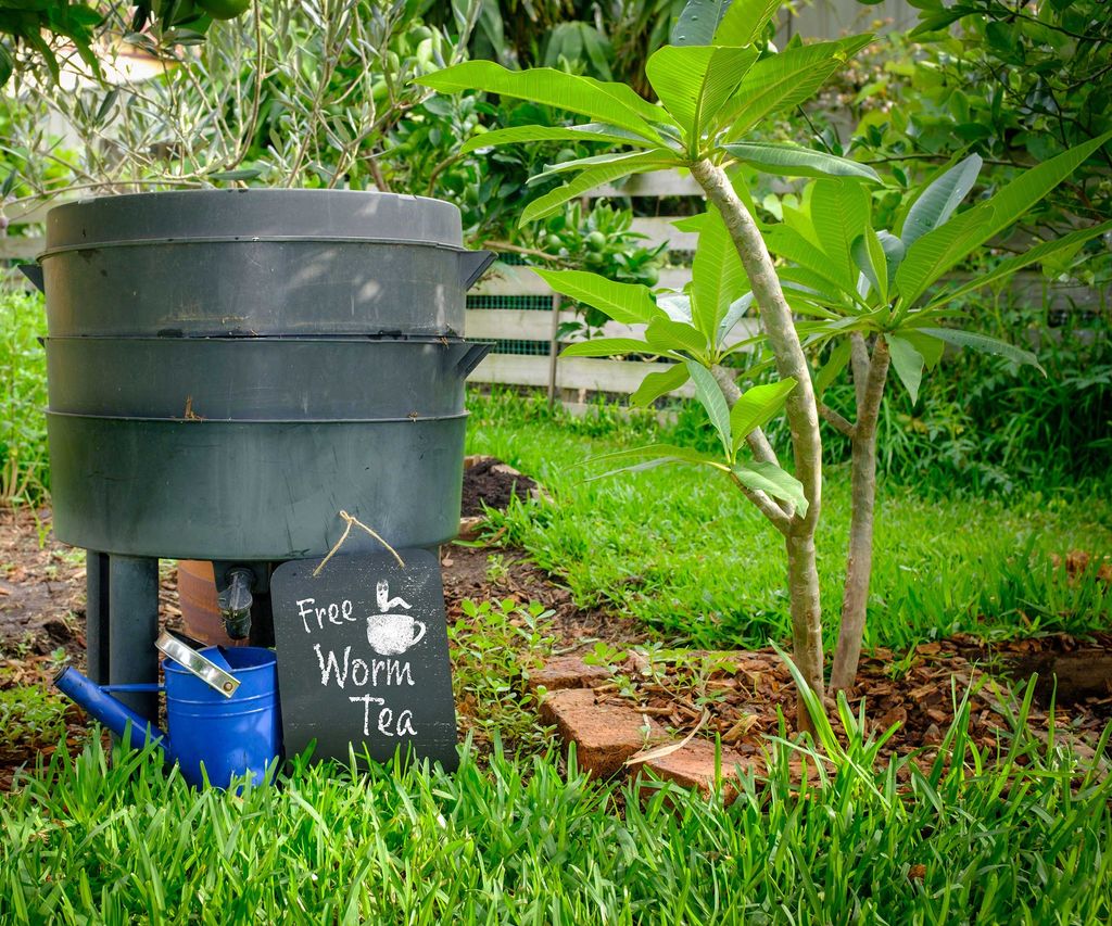 What not to put in a wormery: 6 foods you should avoid | Homes and Gardens