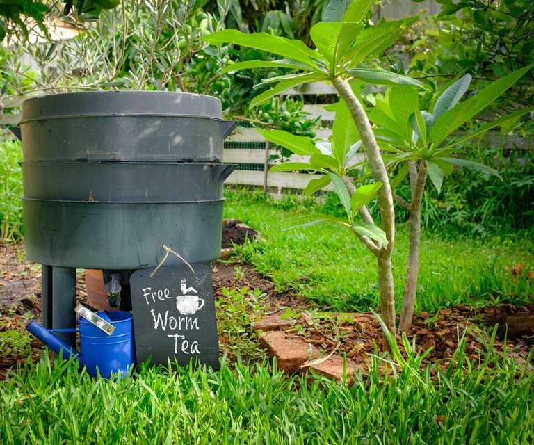 What not to put in a wormery: 6 foods you should avoid | Homes and Gardens
