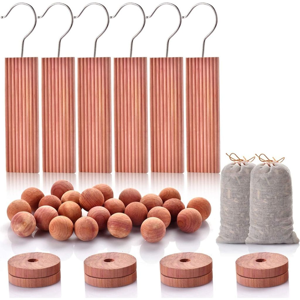 7 signs you have moths in your home: how to avoid damage | Homes and ...