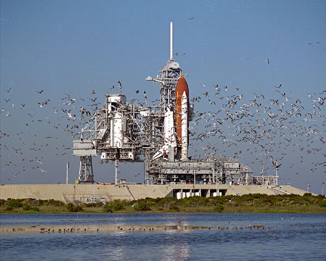 Space History Photo: STS-27 Rollout | Space
