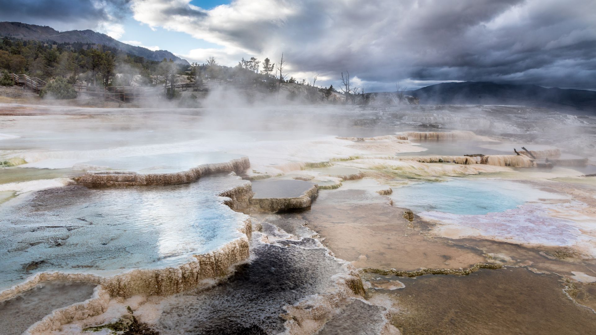 Reckless Yellowstone tourist caught setting up camera right beside ...
