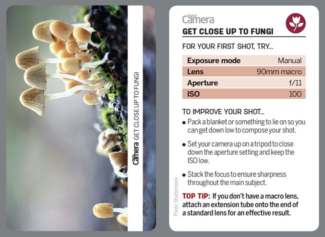 72 tips cards for photographers! Print, cut out and keep or save them ...