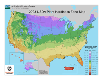 What Planting Zone Do I Live In? | Gardening Know How