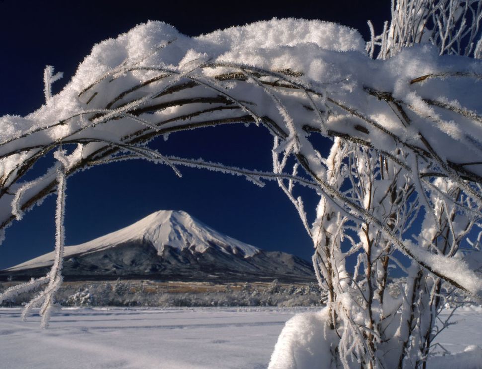 Winter Wonderland: Images of Stunning Snowy Landscapes | Live Science