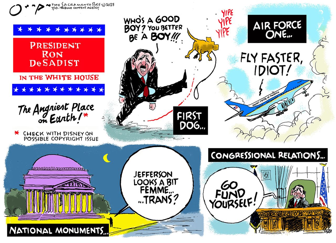 5 toons about DeSantis' struggling poll numbers | The Week