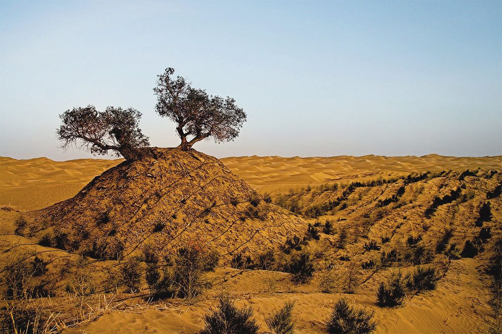 Photos of the Mysterious Sand Dune Shapes | Live Science