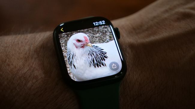 How To Change Background On Apple Watch Caldwell Acal1976 how-to-change-background-on-apple-watch-caldwell-acal1976